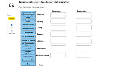 Solved Comparison Of Prokaryotic And Eukaryotic