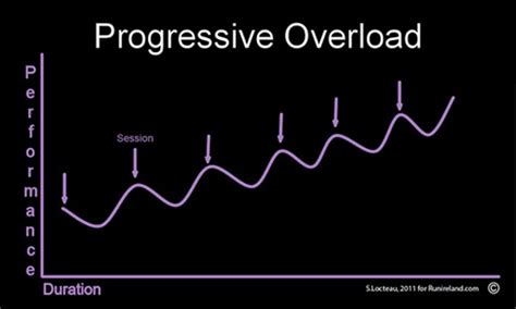 Progressive Overload Principle To The Max Fitness Exposé