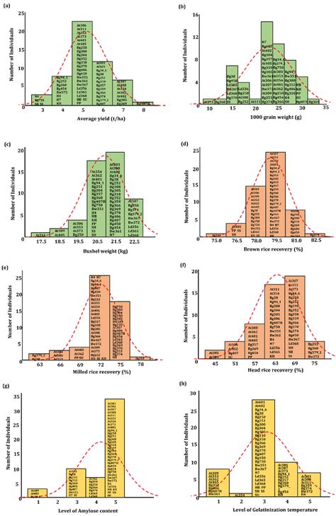 The Classification Of Different Improved And Local Rice Varieties Based Download Scientific