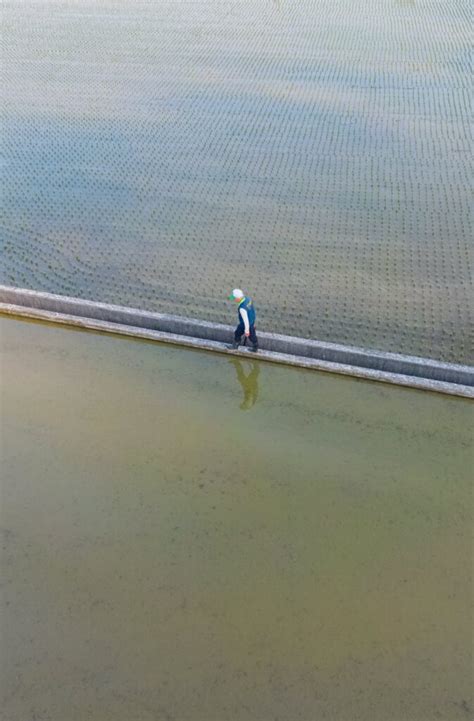 Irrigation Water Quality Testing Ensuring Healthy Crops And Safe Consumption Isspllab