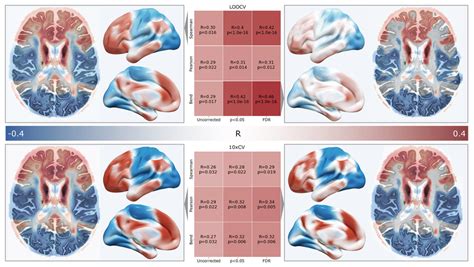 Investigation Of The Parameter Space Underlying The Network Mapping Download Scientific Diagram
