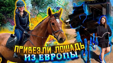 КАК ВЫБРАТЬ ЛОШАДЬ? | Подбор лошади в Европе - YouTube