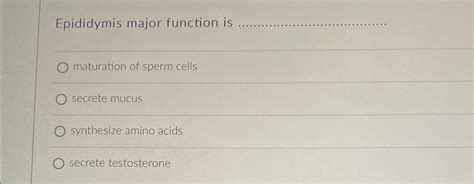Solved Epididymis Major Function Is Q Q Maturation Of Sperm