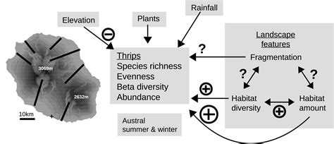 The Interacting Effect Of Habitat Amount Habitat Diversity And