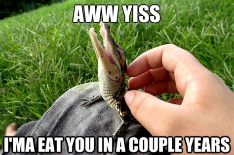 YOUR ABC S OF SEX EDUCATION Diagram Quizlet