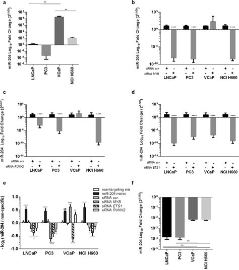Transcription Factors C Myb Runx2 And Ets1 Are Positive Mir 204