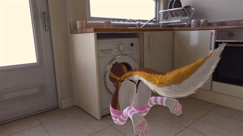 Rule 34 Anthro Anthro Only Coyvrc Fur Furry Furry Only Legwear Male
