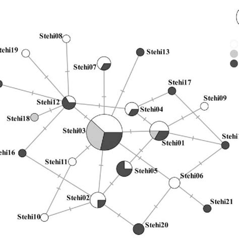 Median Joining Haplotype Network Generated By The Program Pop Art Based