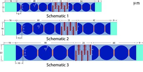 Schematics Showing The Dimensions Of The Initial Boundary Value Download Scientific Diagram