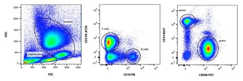 Immunophenotyping Flow Cytometry Guide Bio Rad