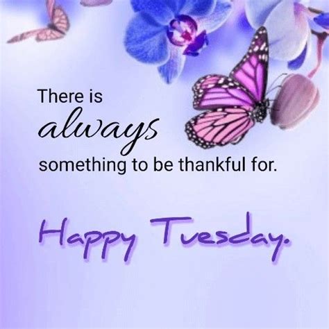 150 Tuesday Quotes Blessings And Images To Unlock Your Motivation Artofit