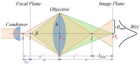 Automatic Optical Path Alignment Method For Optical Biological Microscope