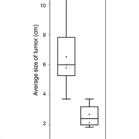 Association Between Kit Ctdna Mutation Detection And Tumor Burden In Download Scientific