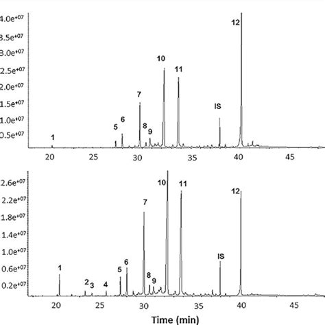 Gc Ms Chromatogram Of Curcuma Longa L Hexane Extract Representative
