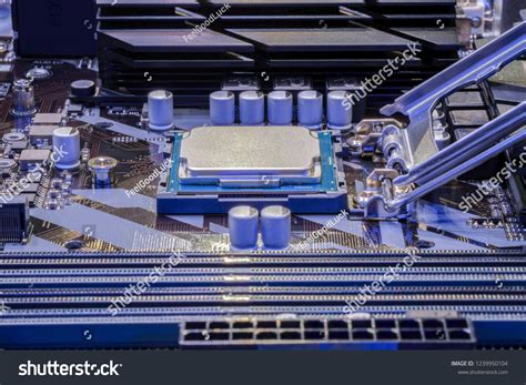 Closeup Cpu Processor Installed On Socket Stock Photo Shutterstock
