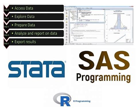 Do Data Analysis In Sas Stata R And Spss By Sirfrd Fiverr