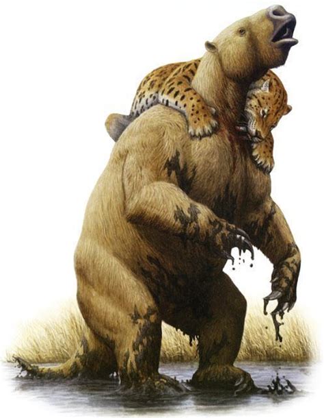 Paramylodon Alchetron The Free Social Encyclopedia