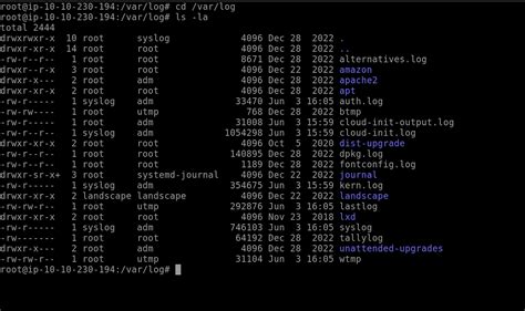 Forensic Investigation Operations — Simple Linux Case By Baris Dincer