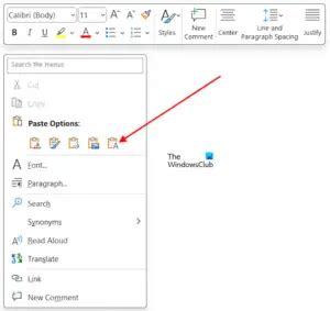 Word Document Is Opening Blank On Windows