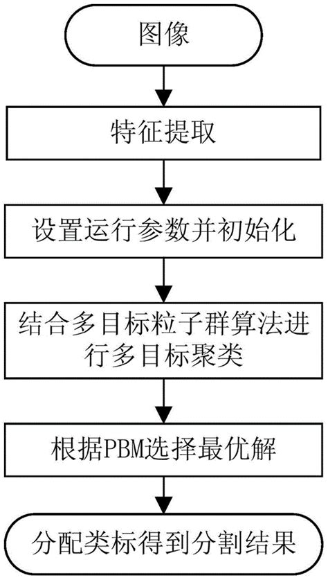 Method For Segmenting Gray Scale Image Based On Multi Objective