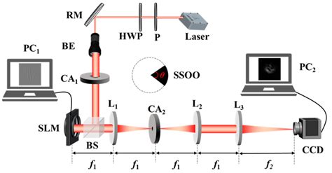 Experimental Synthesis And Demonstration Of The Twisted Laguerre Gaussian Schell Mode Beam