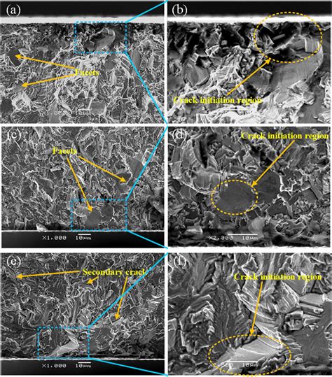 Typical Fatigue Fracture Surface Sem Morphology Of ‘surface Crack