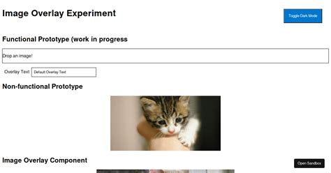 Image Overlay Codesandbox