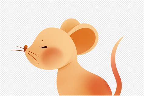 작은 마우스 이미지 사진 401671328 무료 다운로드