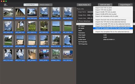 batch edit different photo metadata tags in mac photos