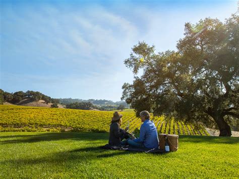 Cotati Accordian Festival Sonoma County Tourism