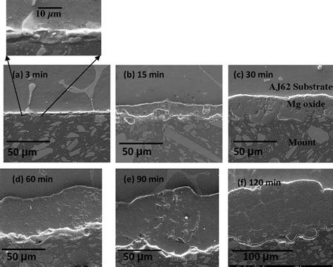 Sem Micrographs Of Cross Sections Of Coatings On Aj62 For Different