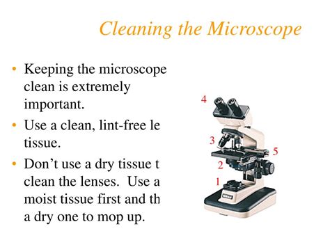 Microscope Cleaning Procedure At Carl Cosme Blog