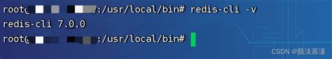 【linux系列】linux查看redis版本信息 Csdn博客