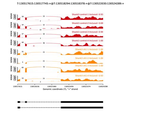 Read Counts Inconsistency Between RMATs Results And Rmats Sashimiplot Issue Xinglab