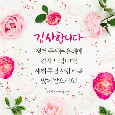 2023 계묘년 새해 이미지 설명절 인사말 카드 모음갓피플