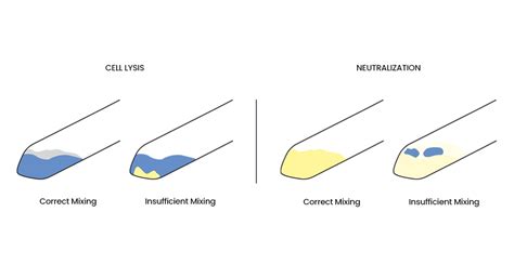 Danagene Plasmid Midi Maxiprep Kits Danagen