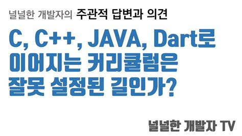 C C Java Dart로 이어지는 커리큘럼은 잘못 설정된 길인가 Youtube