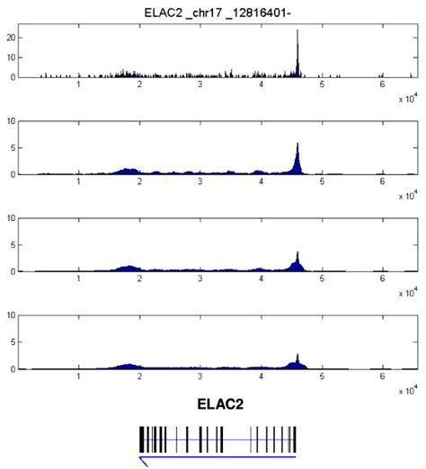 Denoising On Polii Chip Seq Data For Mcf7 Cell Line Using Nl Means Download Scientific Diagram