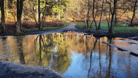 Magic Rides 2 Exploring The Great War At Cannock Chase Nigel Bruce
