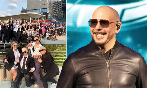 Pitbull Mania Bald Caps Take Over Manchester Show