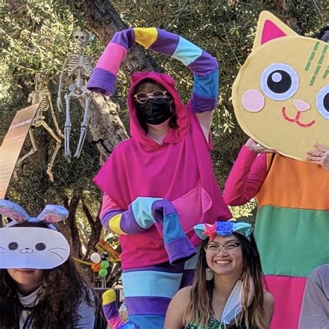 Gabbys Dollhouse Dj Catnip Handmade Adult Costume Depop