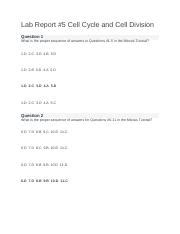 Lab Cell Cylce Cell Division Docx Lab Report Cell Cycle And Cell Division Question What