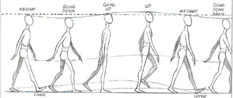 Animation Research: Walk Cycle | Walking animation, Animation reference, Animation walk cycle