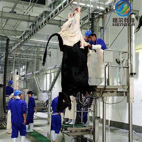 Advanced Fully Automatic Cattle Slaughtering Machine With Precision