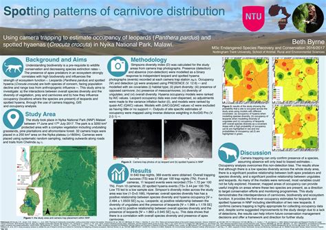 Spotting Patterns Of Carnivore Distribution Ppt