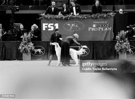 137 Valerie Nunes Atkinson Photos And High Res Pictures Getty Images