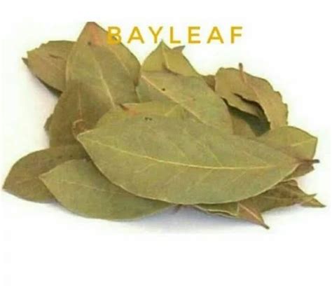 Bay Leaf Packaging Type Packet Packaging Size 25 Kg At Rs 250 Kg In Sas Nagar
