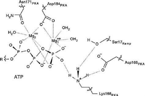 Schematic Representation Of The Reactant A Transition State Download Scientific Diagram