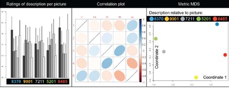 a shows the differences in interaction between each picture and the