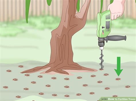 How To Fertilize Trees 13 Steps With Pictures WikiHow